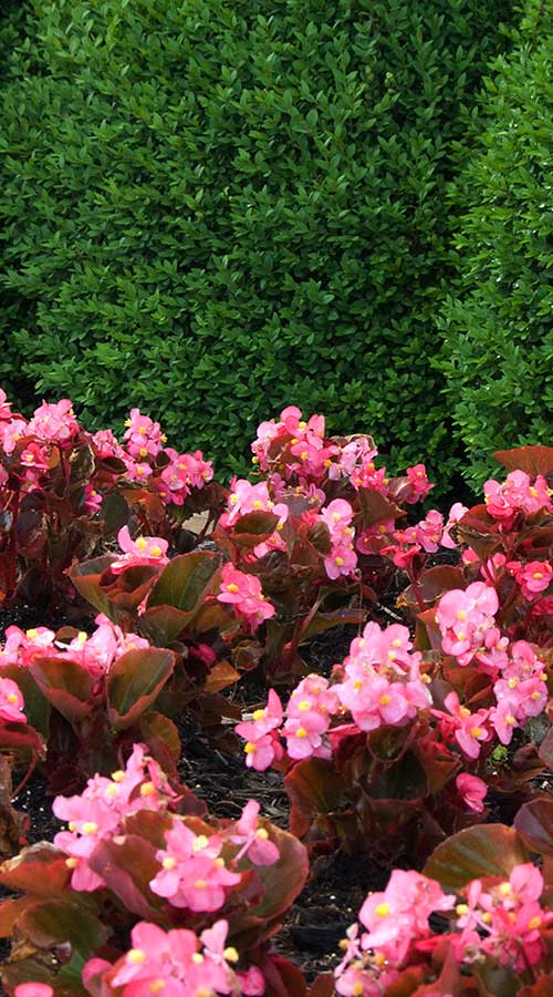 City of Northfield, Kentucky