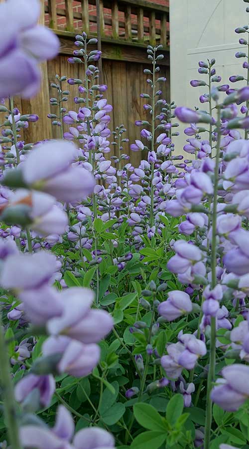 City of Northfield, Kentucky